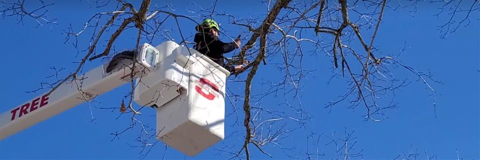 Crane Operations Specialist - Tree Care Industry Association, LLC.