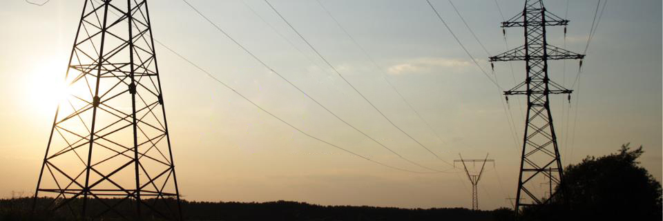 Electrical Hazards Awareness Program - Tree Care Industry Association, LLC.