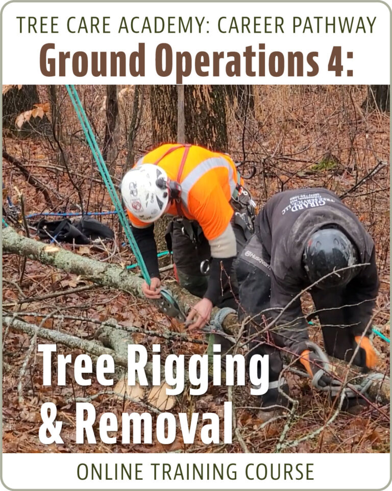 Ground Operations 4: Tree Rigging and Removal - Tree Care Industry ...