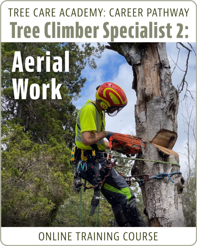 Tree Care Academy® - Tree Climber Specialist - Tree Care Industry ...