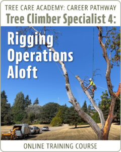 Tree Care Academy® - Tree Climber Specialist - Tree Care Industry ...