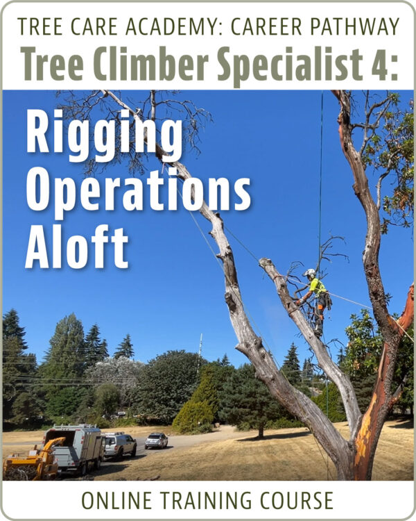 Tree Climber Specialist 4: Rigging Operations Aloft – Spanish - Tree ...