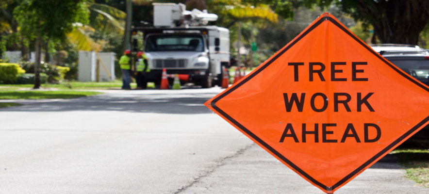 TCIA Helps Create a Culture of Safety - Tree Care Industry Association ...