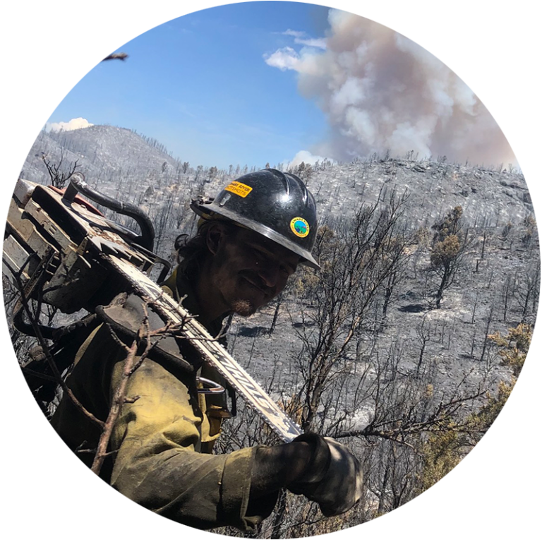 TCIA Qualified Trainer – Curtis Andrews, CTSP - Tree Care Industry ...