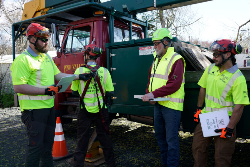 Tree Care Services & Arborist Education by Tree Care Industry ...