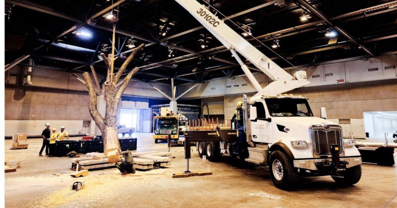 Tree Care Services & Arborist Education by Tree Care Industry ...