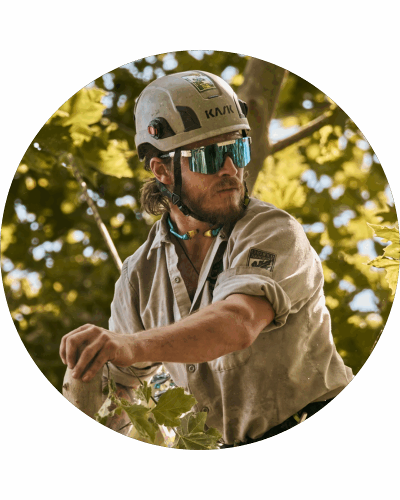 TCIA Qualified Trainers - Tree Care Industry Association, LLC.