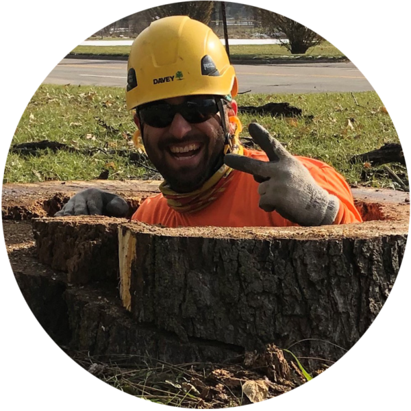 TCIA Qualified Trainer – David Leinbach, CTSP - Tree Care Industry ...