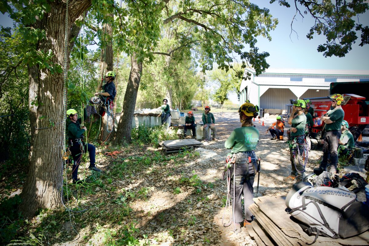 Training - Tree Care Industry Association, LLC.