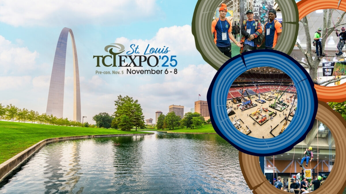 Training Tree Care Industry Association Llc