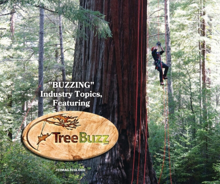 Meet, Connect & Learn: TCIA’s Member Meetups Are Coming to You! - Tree ...